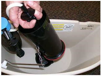 Replace a Canister Flapper Seal